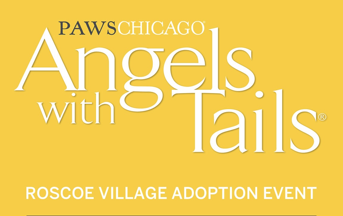 CEBR Featured At PAWS Angels with Tails Roscoe Village – Chicago ...